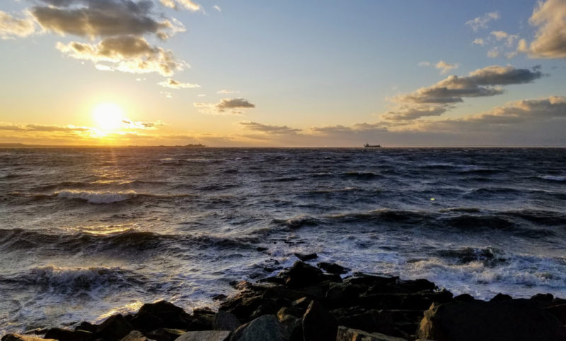 June Is World Oceans Month - Jersey Shore Scene